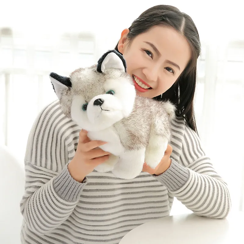 Cute Husky Dog Plush Toy ( 20cm ) - Kidz Country: